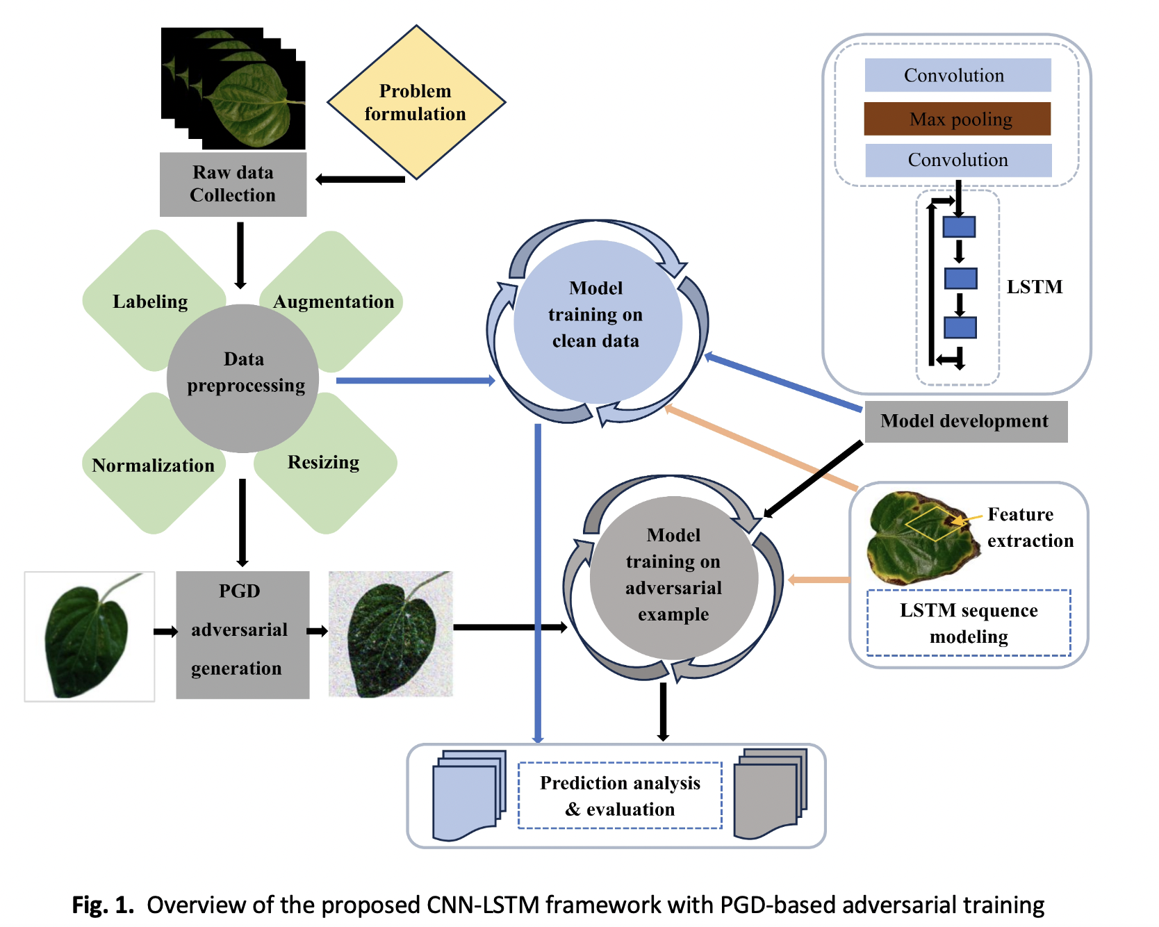 Enhancing the Resilience of Deep Learning Models for Agricultural ...